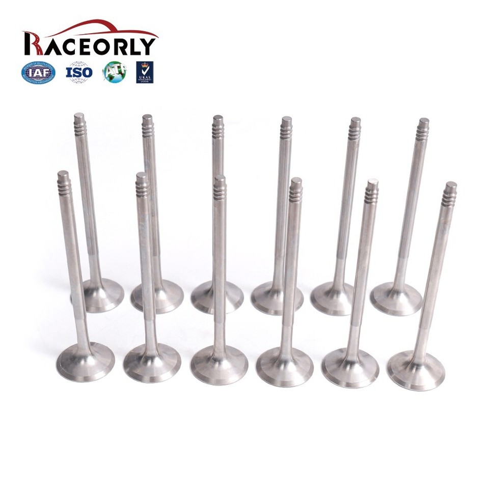 RACEORLY Engine Intake & Exhaust Valve Set For BMW 130 330 630 Z4 X5 ...