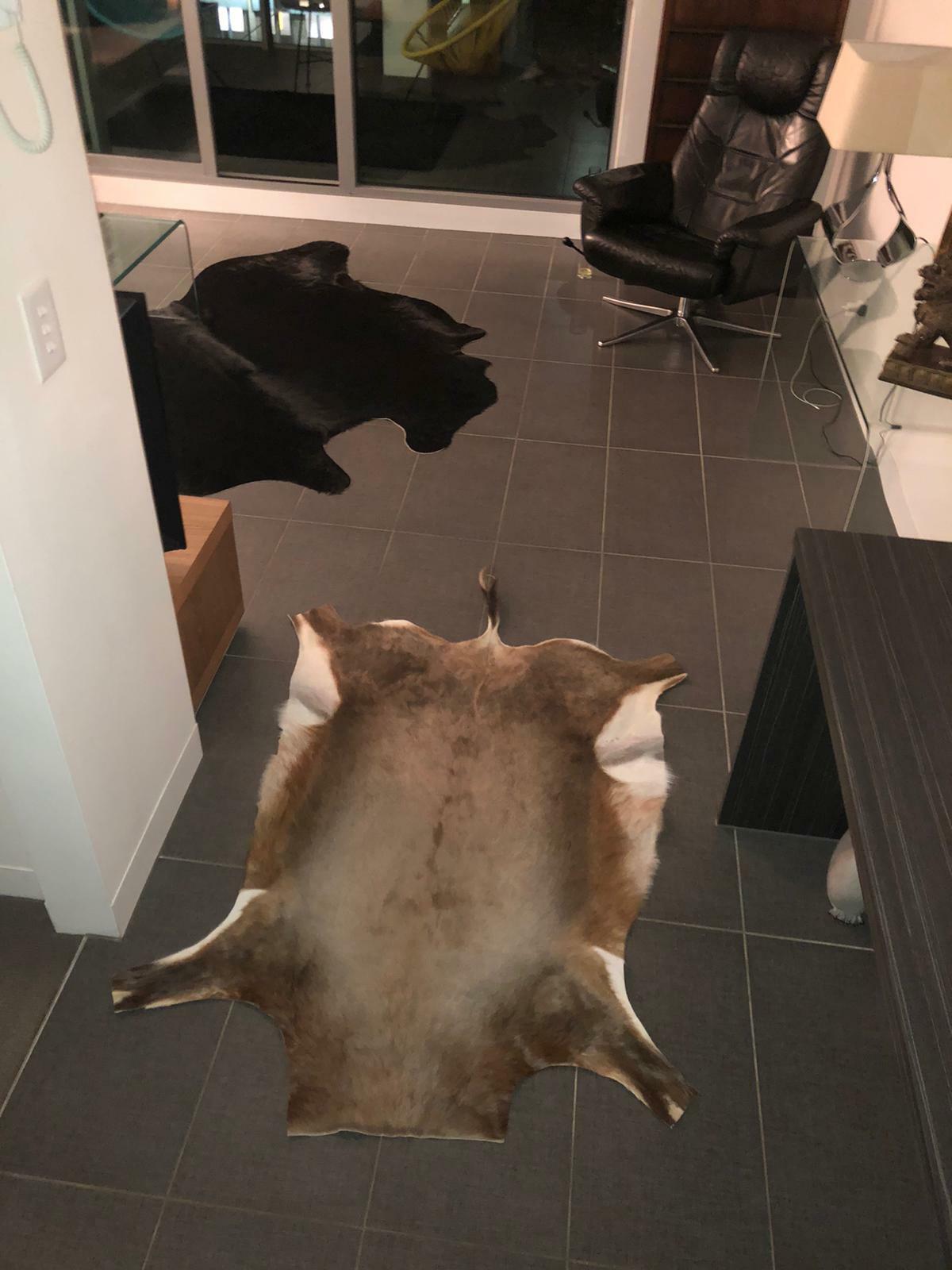 Deer Skin Blesbok Antelope Hide Around 4X3' Deer Skin African Antelope ...