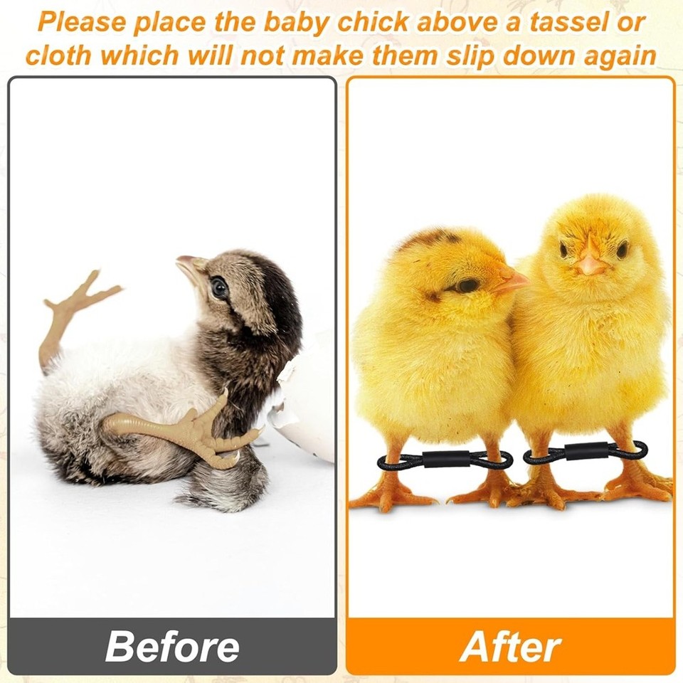 150Pcs Baby Chick Leg Bands,Chicken Hobble Braces Adjustable Poultry ...