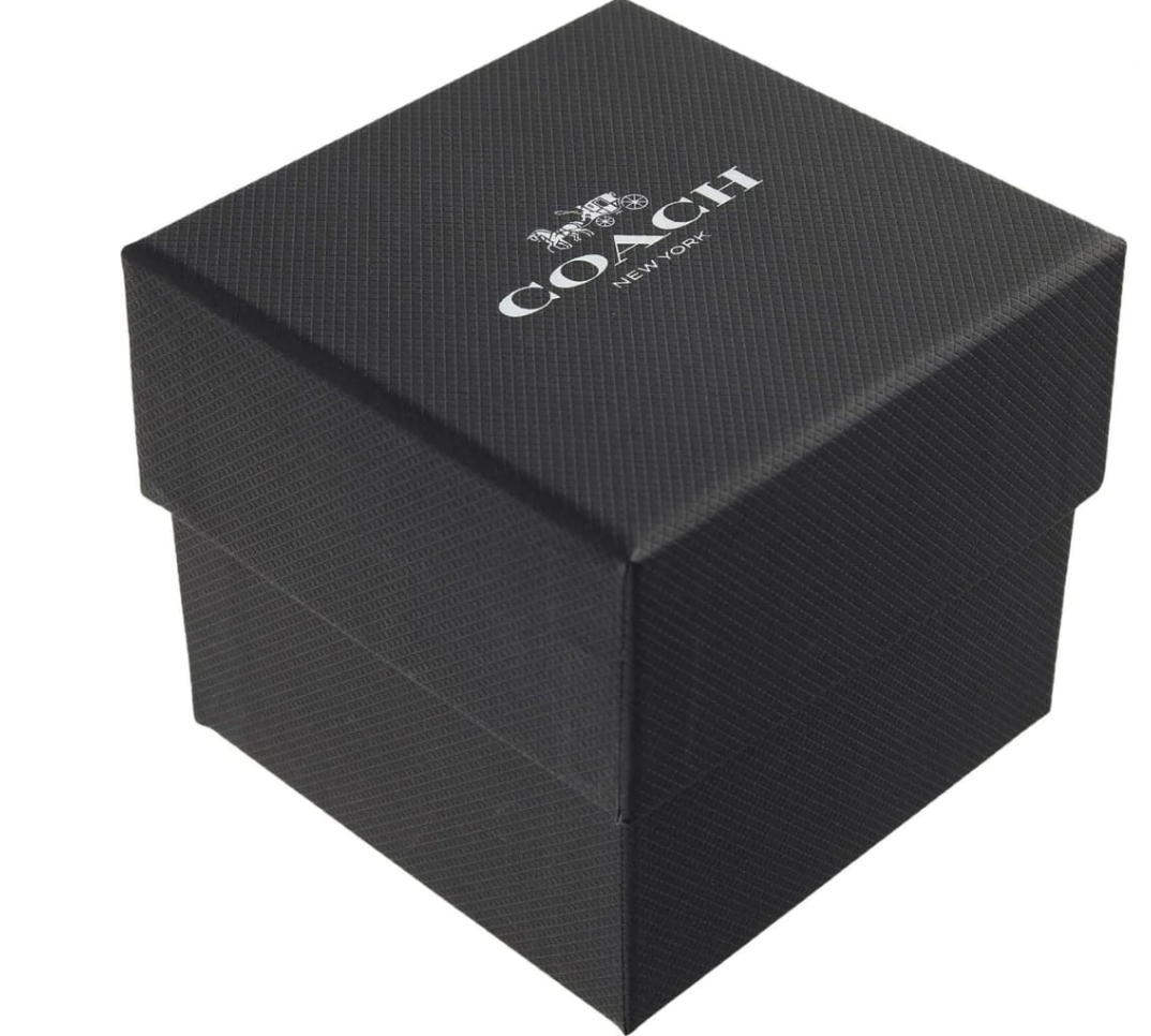 NEW Coach Women's PINK Astor Silver Dial Watch - 14503256 | eBay