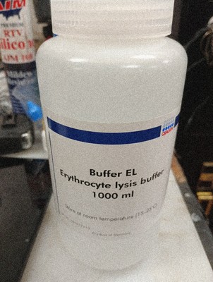 QIAGEN Solution Erythrocyte Lysis Buffer 1000 ml, Exp. Dec 2028, 9147 ...