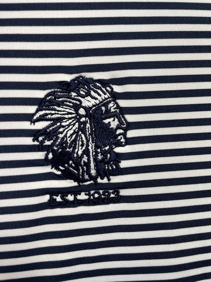 FJ Footjoy /Indian Hills Mens Medium Blue/White Striped Polo Shirt (S4 ...