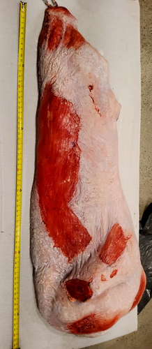 65" Slab of Prop Meat for Butcher or Meat processing plant scenes | eBay