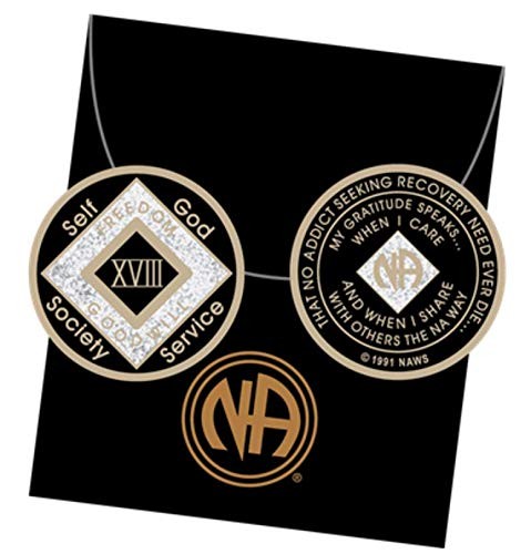 18 Year NA Medallion Black Silver Glitter Narcotics Anonymous Chip ...