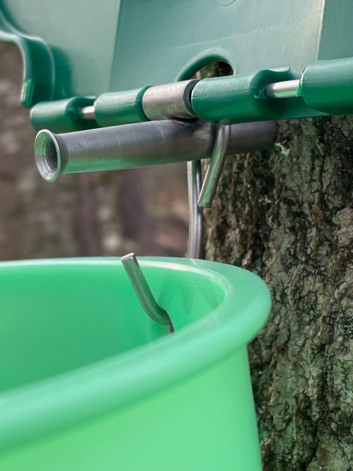 5 Maple Sap Syrup 5/16 Taps, Stainless Steel Spouts, Spiles For Buckets ...