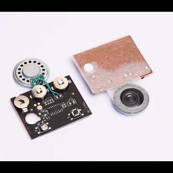 30s Recordable Voice Chip Sound Module Musical DIY Greeting Card Music ...