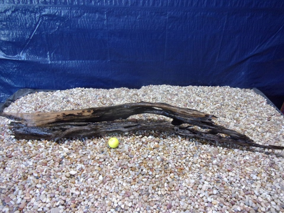 XX-Large Driftwood 06"x48"x12" Aquarium Terrarium Reptile Natural Art ...