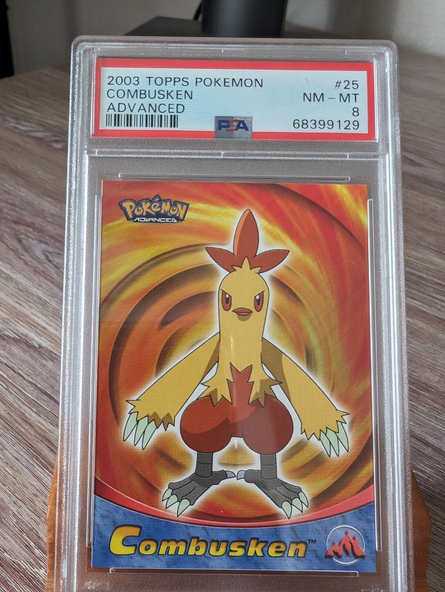 Speedart Pokemon Torchic Combusken Pokemon Unbound Torchic Fan Art