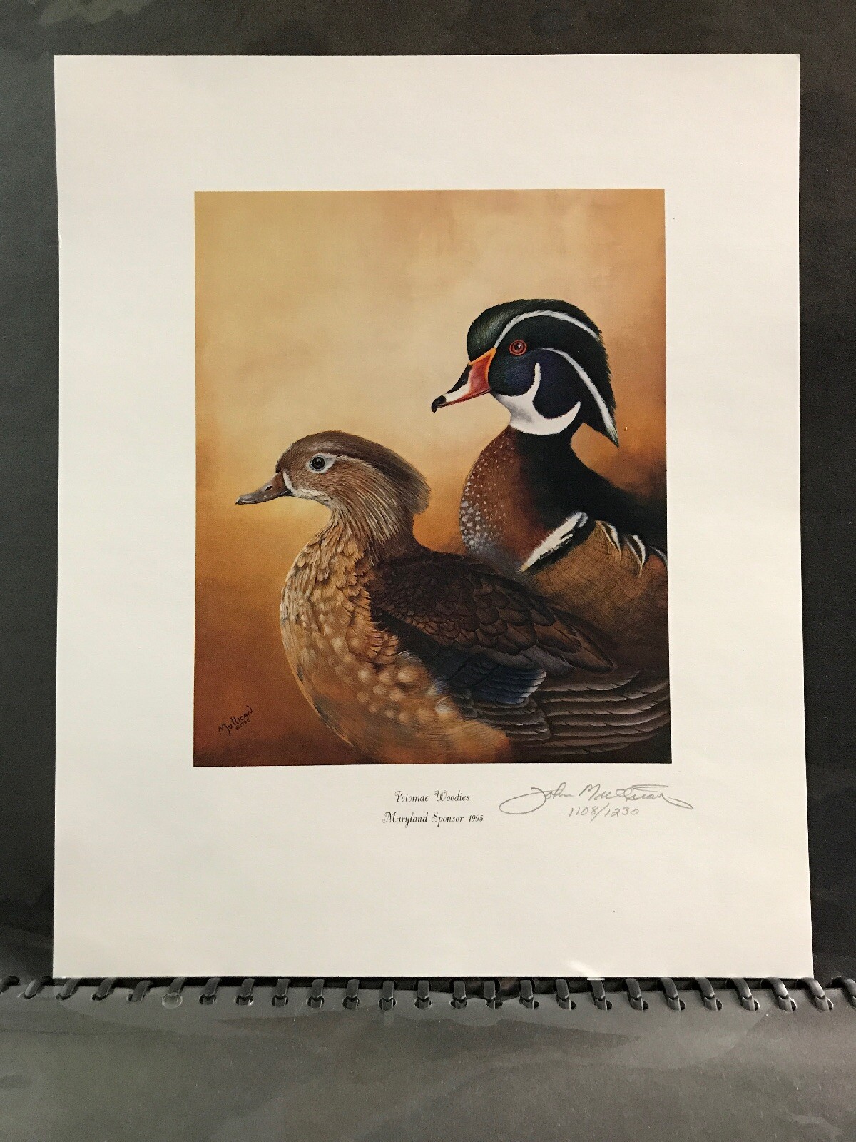 John Mullican Signed & Numbered Ltd Ed Print "Potomac Woodies" 1995 ...