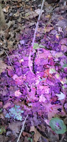 Grim Reaper 100 Grain 3 Blades Arrowhead for sale online | eBay