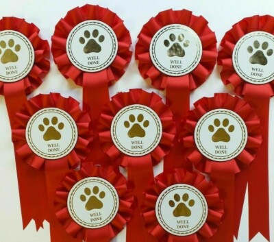Well Done Dog Rosettes 🐾 🐾 🐾 🐾 10 Per Pack 🐾🐾🐾🐾 FREE POSTAGE 🐾🐾🐾🐾 | eBay