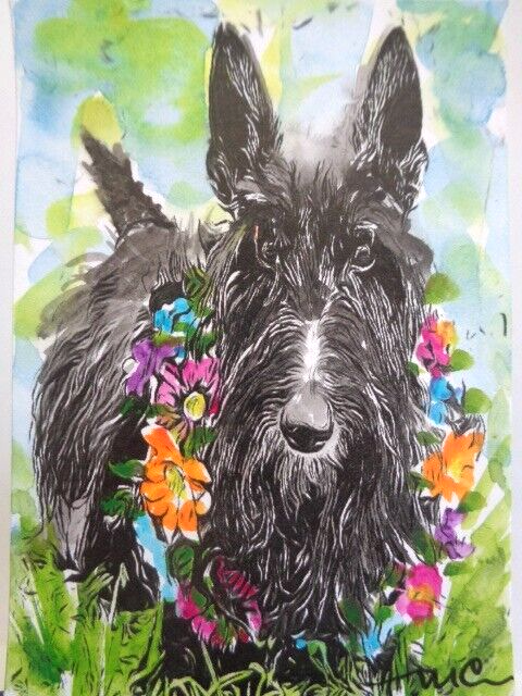 Original ACEO ATC Sketch - BLACK SCOTTIE SCOTTISH TERRIER Dog Art | eBay