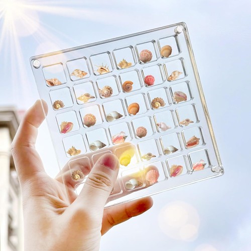 Seashell Display Case with Solid Wood Base, 36 Grids Acrylic Light ...