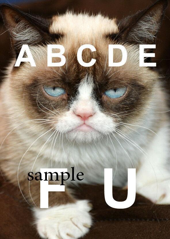 Grumpy Cat Exams