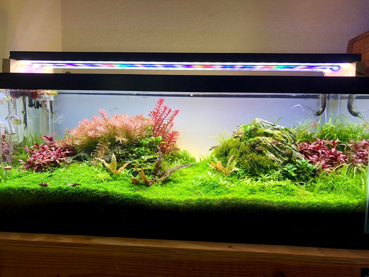 Blue Moon Led Aquarium Light