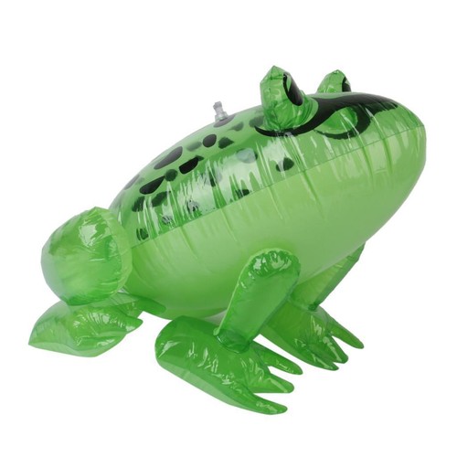 1 X Inflatable Frog For Little Children, Billiard Toys | eBay