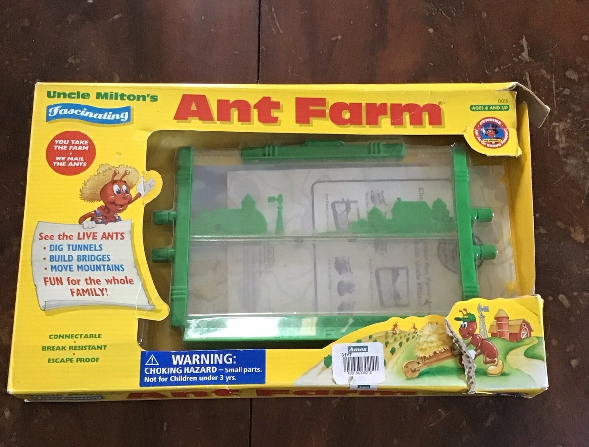 Largest Ant Farm Habitat