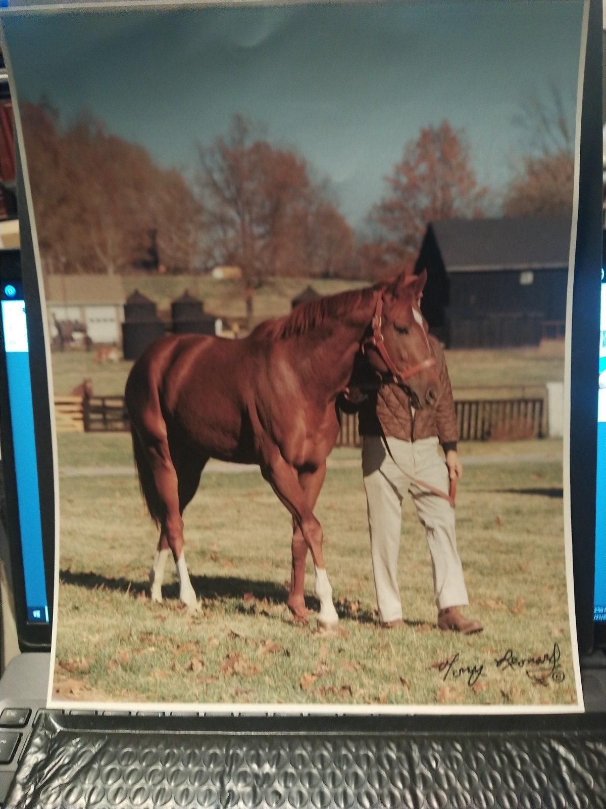 Secretariat, HTF Photo Print @ Claiborne Farm, Tony Leonard NICE!!! | eBay