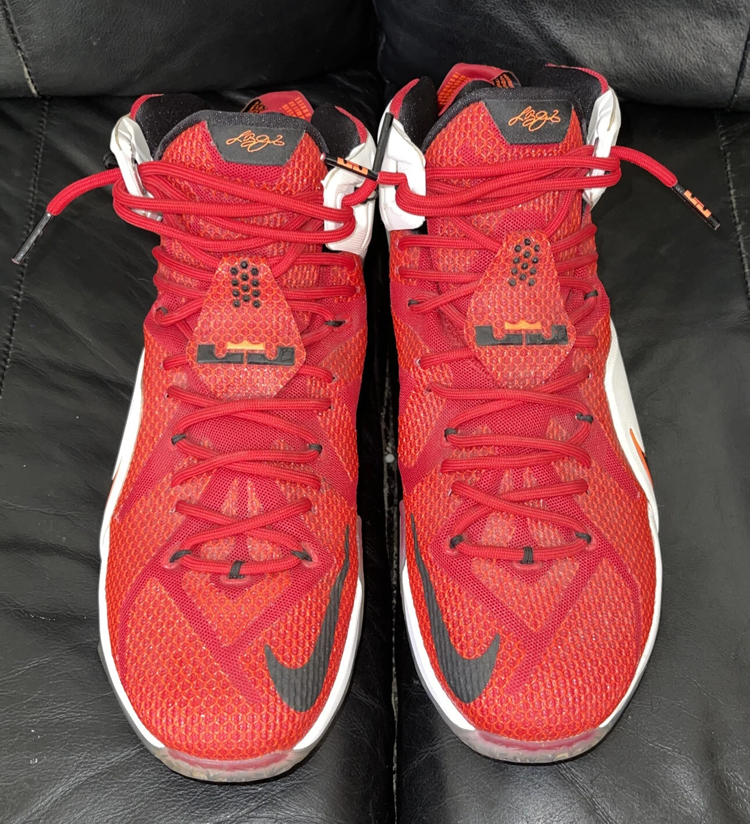 Lebron 12 Heart Of A Lion