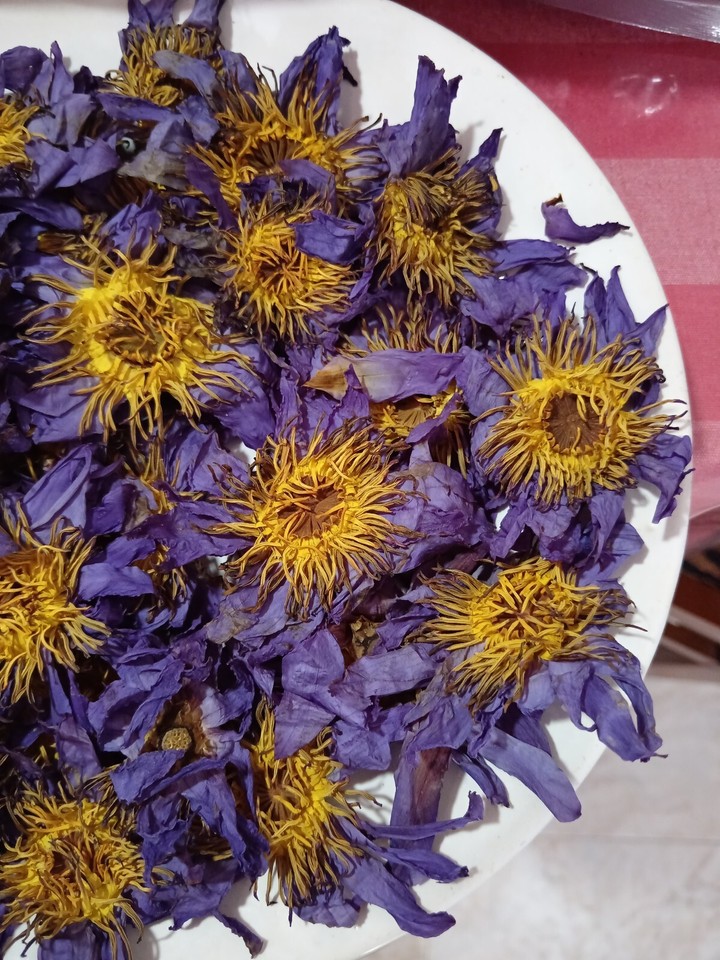 1,058 Unzen Blauer Lotus Nymphaea Caerulea Trockenblumen 100 % Bio ...