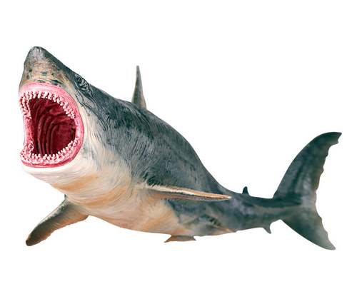 Megalodon Jaws Vs Great White Jaws