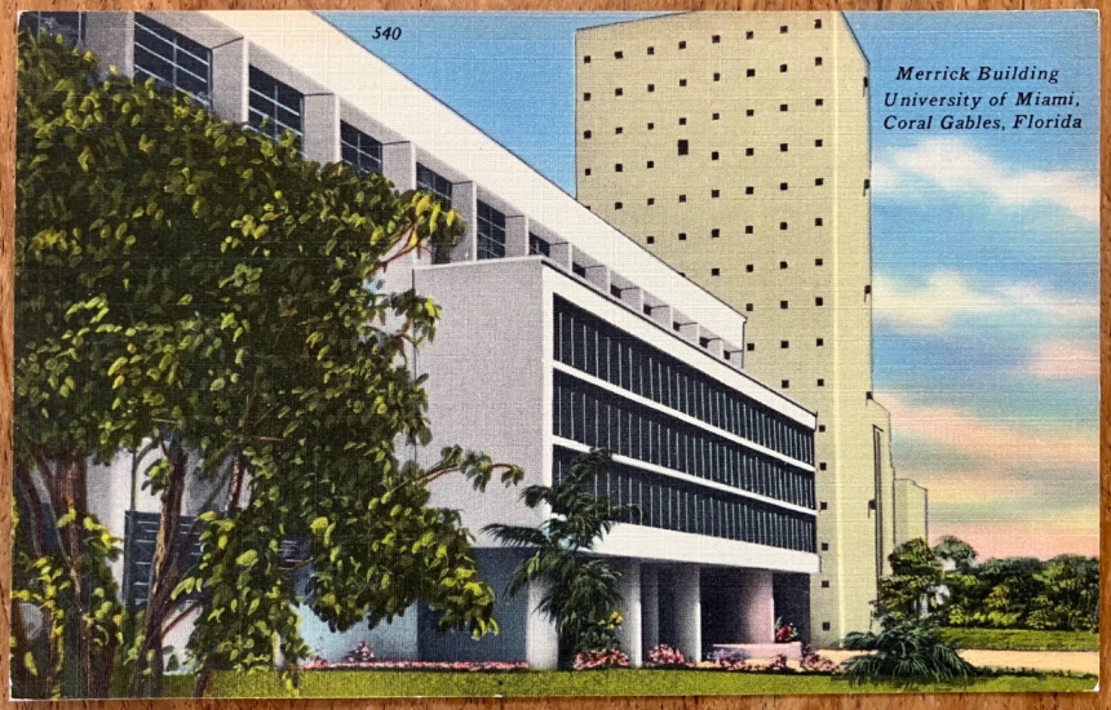 Coral Gables Florida~Merrick Building University of Miami~1950's Linen ...