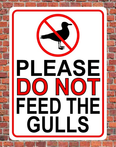 PLEASE DO NOT FEED THE GULLS Metal SIGN seagulls sea gull seagull ...