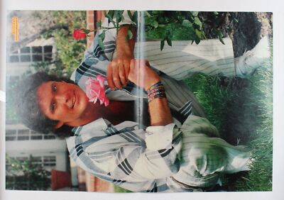 David Hasselhoff Bravo Poster - German 80s Magazine Portrait Poster ...