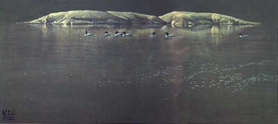 Robert Bateman Loon Gathering at Big East S/N Canvas Giclee Signed MINT ...