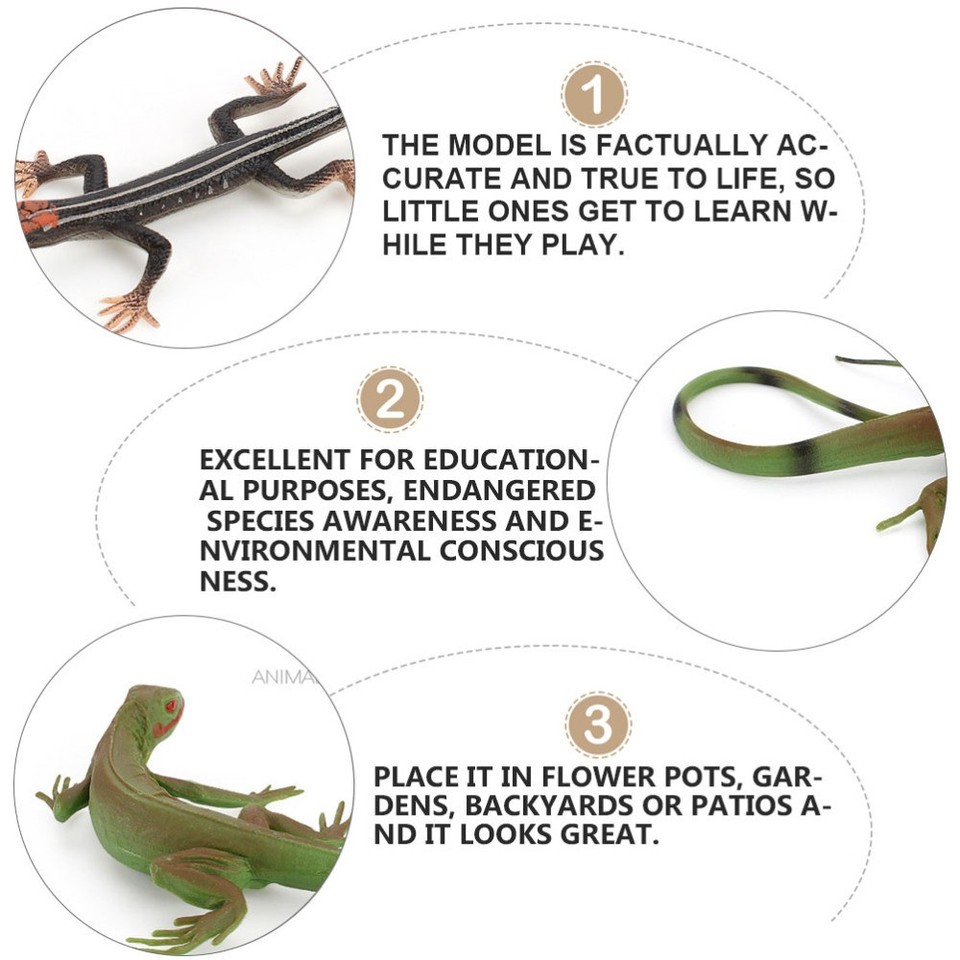2 Sets of Simulation Lizard Model Children's Educational Toys Lizard ...