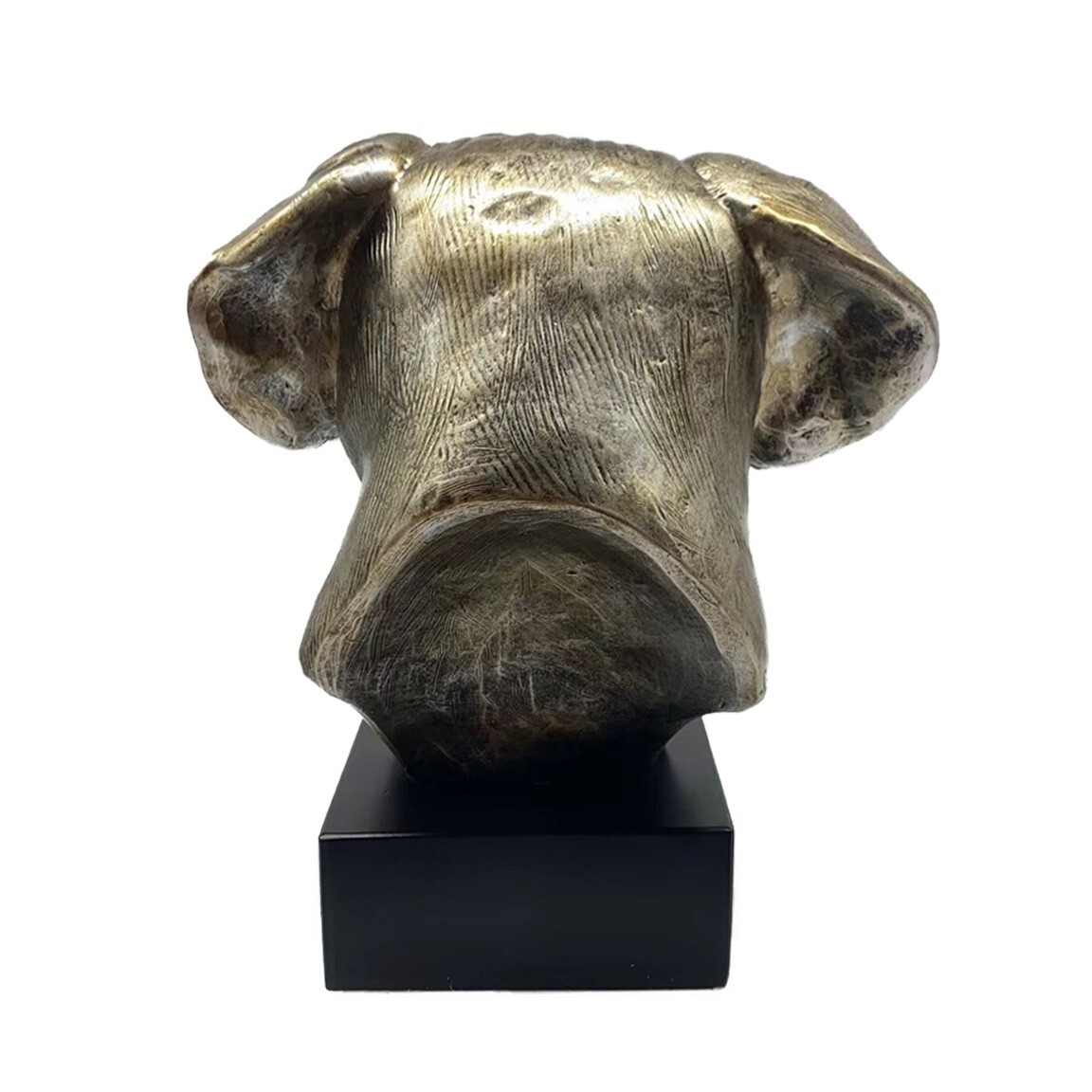 Hund Statue 10 "Rhodesian Ridgeback" Bronze, Harz, Skulptur, Figur ...