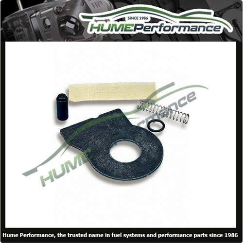 HOLLEY RED ELECTRIC FUEL PUMP 12-801 CHECK VALVE REBUILD KIT 12-805 | eBay