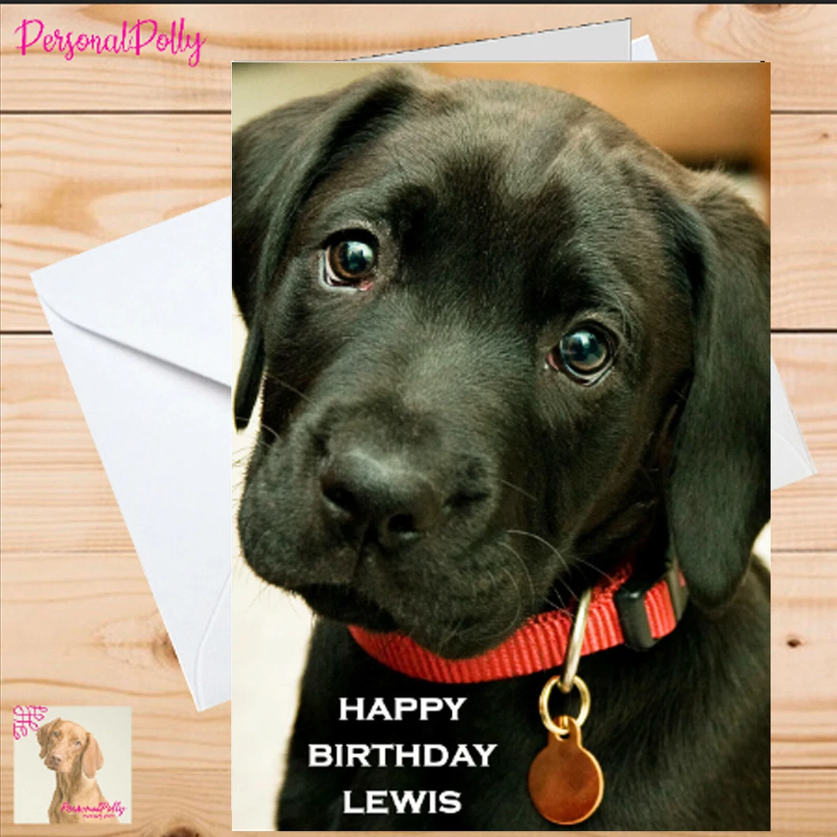 Lab Puppy Birthday