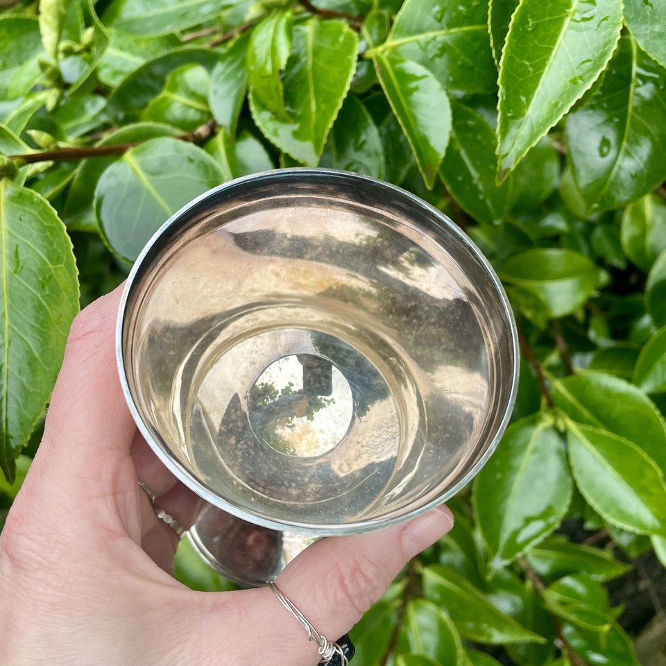 Vintage Silver Chalice Goblet Offering Cup Runes For Calm Wiccan Pagan ...