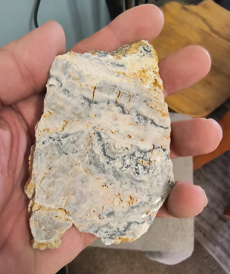 Silver sulfides-sulfosalts, Leopard mine, Cornucopia dist., Elko Co ...