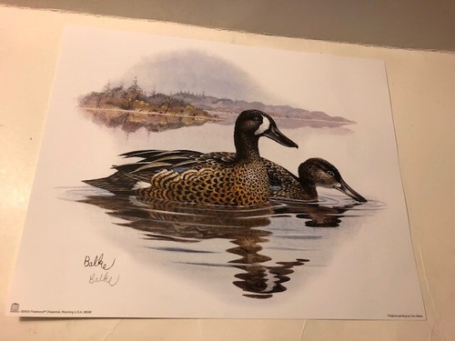 Don Balke Wood Ducks Signed Art Print Wind River Studio Fleetwood 2003 ...