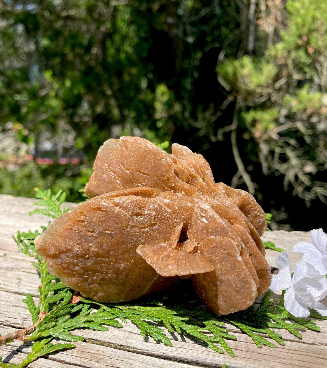 174.3g RARE SAHARA DESERT SAND ROSE CRYSTAL HEALING CLUSTER SPECIMEN ...