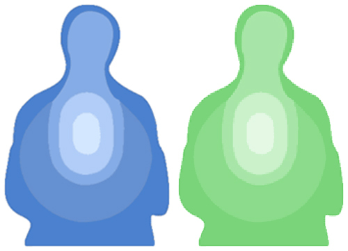 TT-II US Treasury Transitional Silhouette Target, Transtar-II, 24" x 40 ...