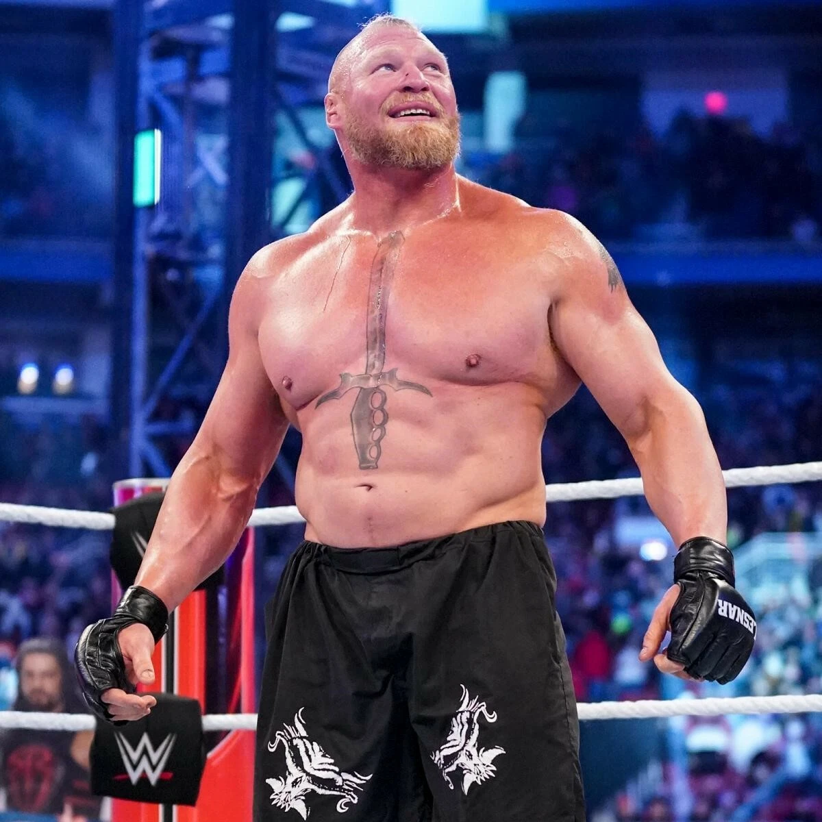 Wwe Superstars Brock Lesnar