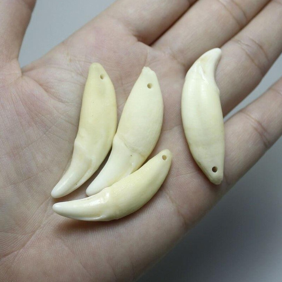 Natural Fang Pendant Wholesale Teeth 4/8PC Retro Black Teeth Tribal ...