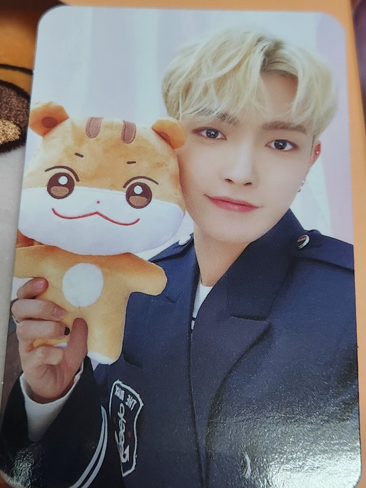 ATEEZ PLUSH DOLL PHOTOCARD ADVENTURE POPUP ANITEEZ IN ILLUSION ...