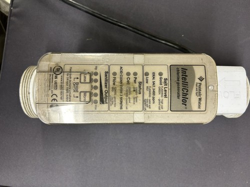 Pentair IntelliChlor IC40 Salt Chlorine Generator Cell 789610248926 | eBay
