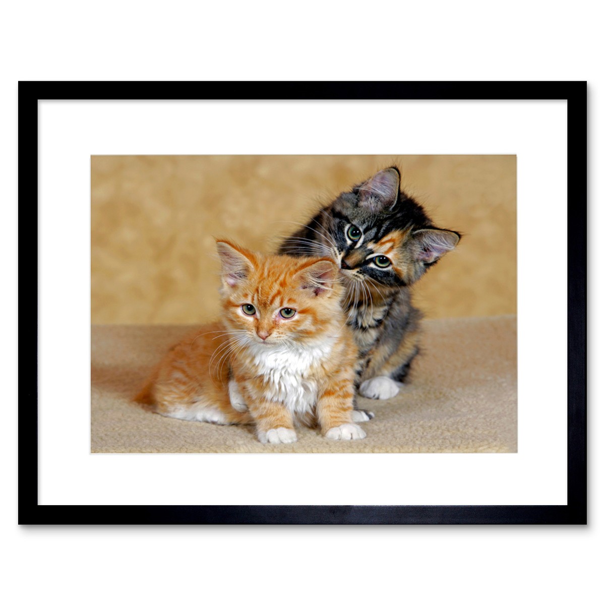 Baby Cat Art Congratulations On New Pet Cat Kitten Fur Baby Cute