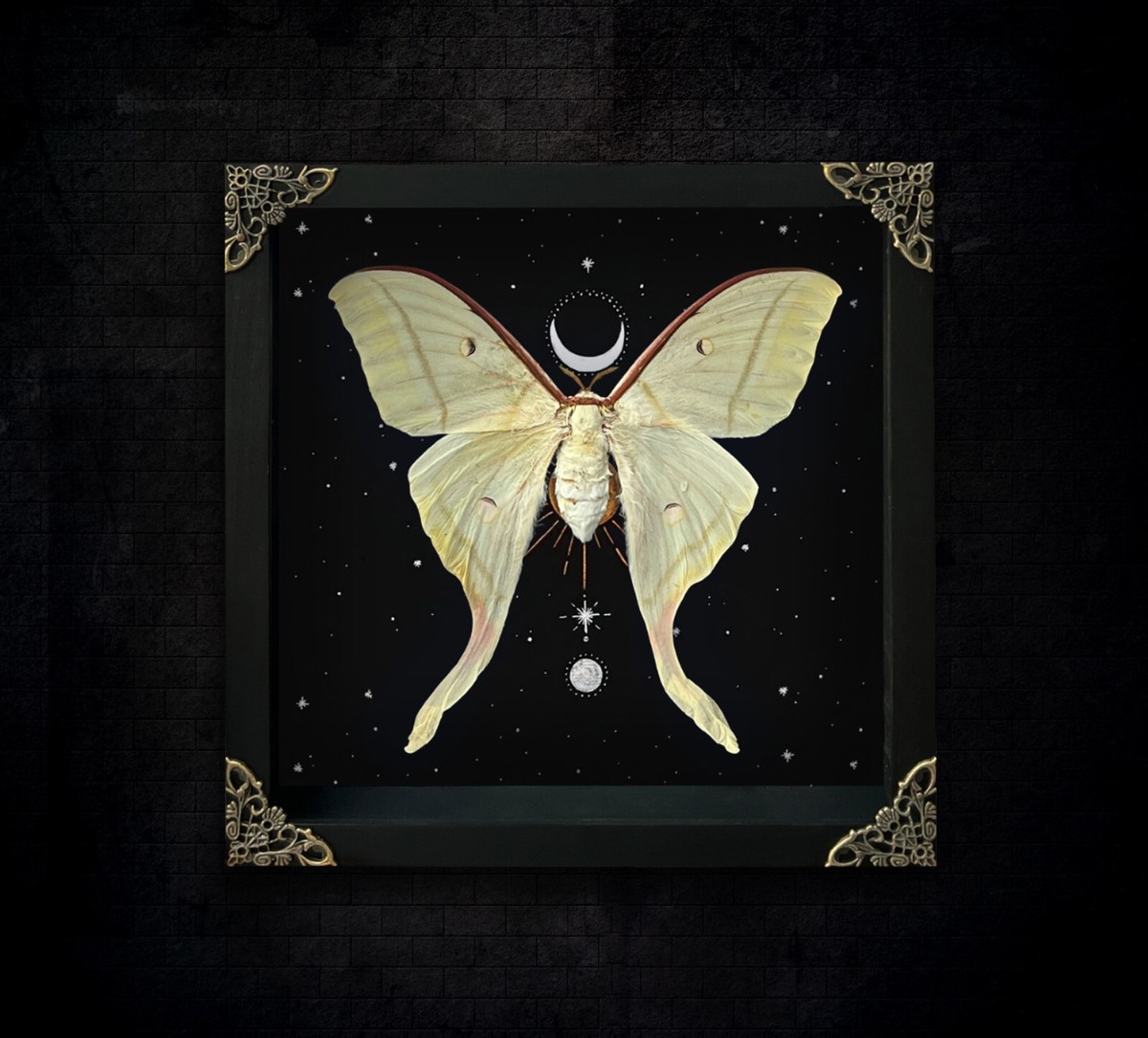 Luna Moth Moon
