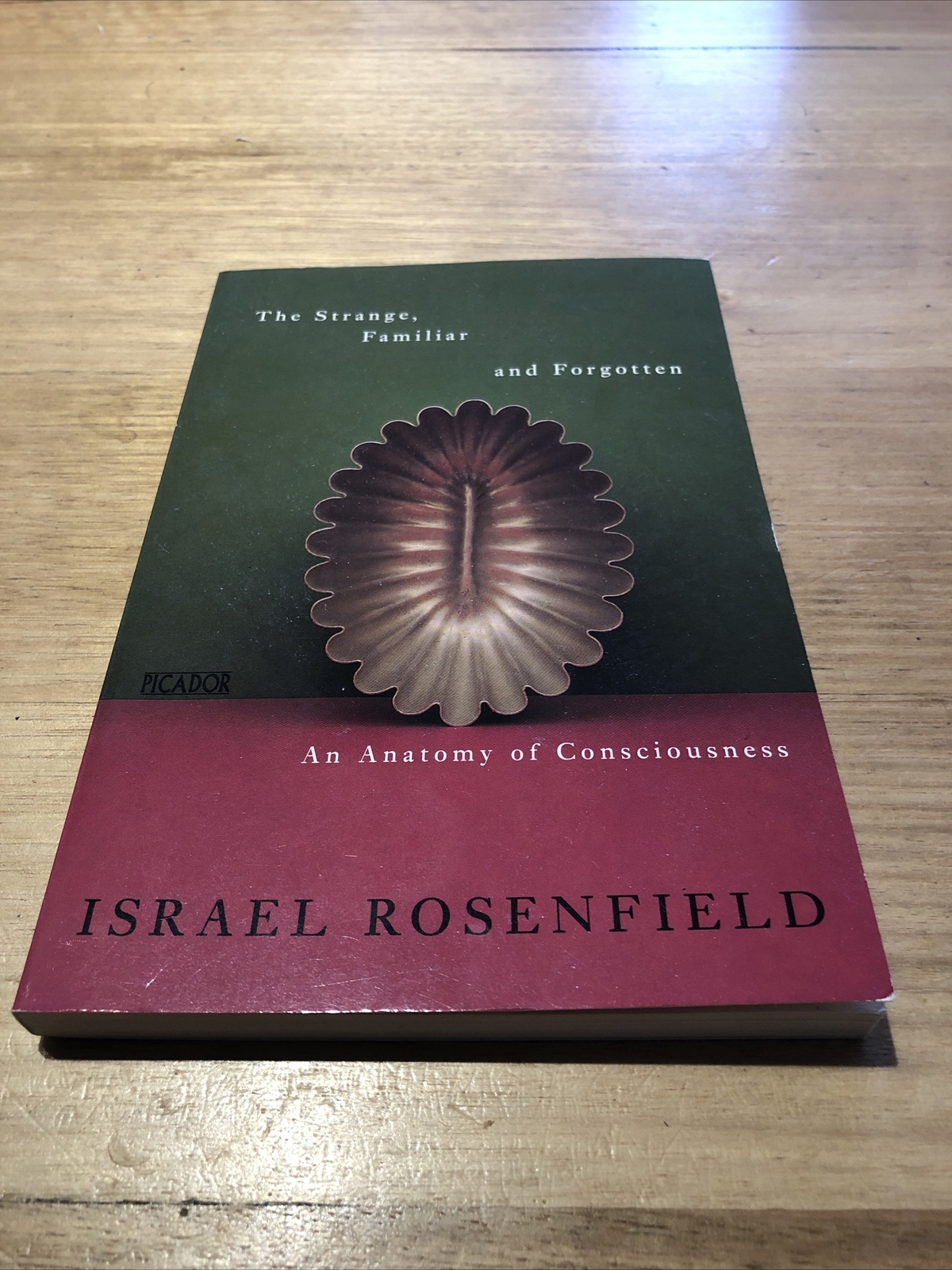 Strange, Familiar and Forgotten: Anatomy of Consciousness by Israel ...