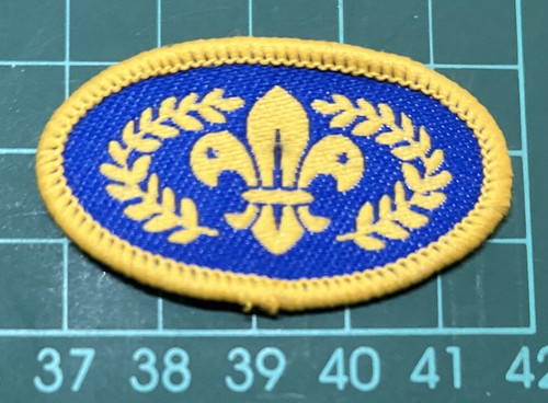 Scouting Award Yellow Badge Patch Scouts Cubs Guides Sew On Camp ...