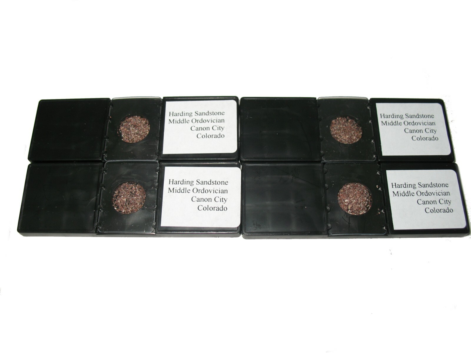 Ordovician Harding Sandstone shark Conodont microfossil microscope Cell ...