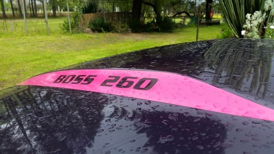 BONNET BULGE DECALS for FORD BA/BF XR8/GT/FPV ANY COLOUR | eBay Australia