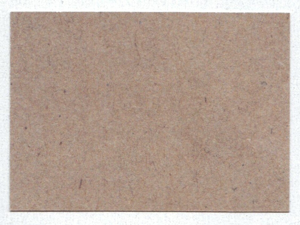 Chuck Connors Boston Celtics / rookie year MC 20th Century / FREE SHIP ...