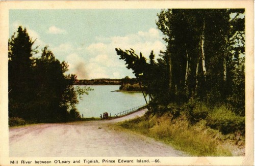 Mill River Betwern O' Leary And Tignish, Prince Edward Island, Canada ...